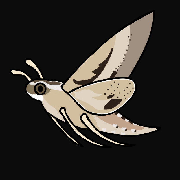 new logo again – Moth Learning